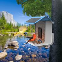 China Bird Feeder with Camera,Bird Feeder,Smart Bird Feeder with 64G TF Cards,Camera 1080P HD Video,AI Identify Bird Species for sale
