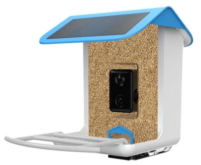 China Outdoor Garden Wildlife Bird Feeder With Camera AI Recognize 2.5L With Solar Cell Panel for sale