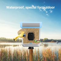 China Waterproof Outdoor Smart Bird Feeder Camera Observe Activity With Solar Panel for sale