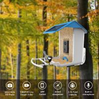 China Solar Panel Waterproof Outdoor Smart Ai Bird Feeder With Camera App Control for sale