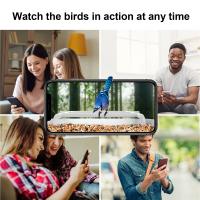 China AI Recognize Smart Bird Feeder Camera With Solar Panel Charger 5200MAH Battery for sale