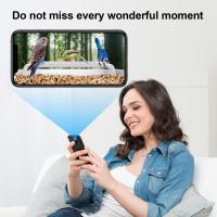 China Wild bird feeder AI recognition smart bird feeders with solar panel for sale
