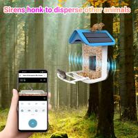 China Wild bird feeder AI recognition smart bird feeders with solar panel for sale