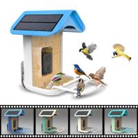 China House Standing Solar Powered Smart Bird Feeder with Trail Camera for sale