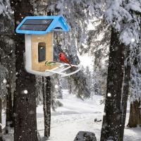 China House Standing Solar Powered Smart Bird Feeder with Trail Camera for sale