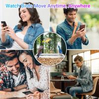 China Automatic Bird Watch Camera Auto Capture Videos Pictures Ai Identify Birdcam Smart Bird House Feeder for sale