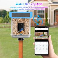 China Automatic Bird Watch Camera Auto Capture Videos Pictures Ai Identify Birdcam Smart Bird House Feeder for sale