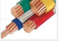 China 1000V Copper Conductor PVC Insulated Cables Customized With Three Half Core for sale