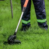 China Lawn mower for sale