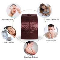 China Carbon Panel Heater Portable Far Infrared Sauna For Body Building Detoxification for sale