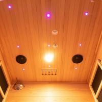 China Indoor Wooden Small Infrared & Steam Combination Sauna 2 Person for sale