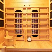 China Indoor Wooden Small Infrared & Steam Combination Sauna 2 Person for sale