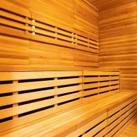 China Hemlock Outdoor Dry Sauna With Adjustable Ventilation System Bluetooth Music Tempered Glass Door for sale