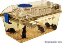 China Stainless Steel Modular Automatic Individually Ventilated Cage IVC For Lab Animal Equipment for sale
