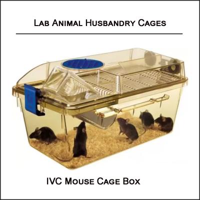 China Laboratory IVC Animal Cages Rat Breeding Multi Layer Stackable Mouse Cage Box for sale