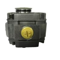 China Rexroth PGF1-21 Hydraulic Gear Pump with 280 Bar Pressure and 1 Inch Ports - Cast Iron Construction for sale