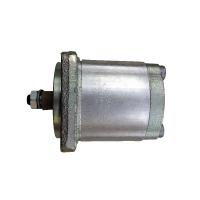 China Hydraulic Gear Pump 280 Bar Metal Lightweight Mechanical High Efficiency Pump for sale