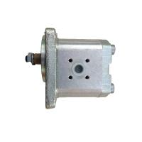 China Hydraulic Gear Pump 280 Bar Metal Lightweight Mechanical High Efficiency Pump for sale