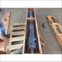 China Rexroth CDH1MP5 18 110 1600A3X B11CADMW Hydraulic Cylinder 1600mm Stroke 250 Bar for sale