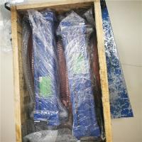 China Rexroth CDT3MT1 Hydraulic Cylinder 63mm Piston 400mm Stroke Heavy Duty for sale