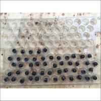 China HAWE RB0 Hydraulic Check Valve 700 Bar 10 Lpm G 1/8 A BSPP High Pressure for sale