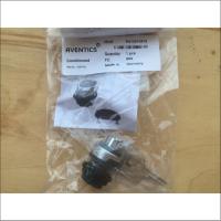 China Aventics R412015479 Cast Iron Pneumatic Rotary Lock 2 Keys Standard Design for sale