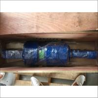 China Rexroth CDM1MP5 200 110 50A2X F33CKDMWW CXXXX Hydraulic Cylinder DC24V 2in Bore for sale