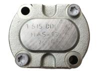 China Rexroth Hydraulic Pump AZPF-12-004RNF20MB 4.1 cc/rev 200 Bar External Gear Pump for sale