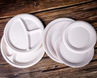 China Eco-Friendly Biodegradable Sugarcane Plate 6 to 10 Inch for Restaurants and Cafes for sale