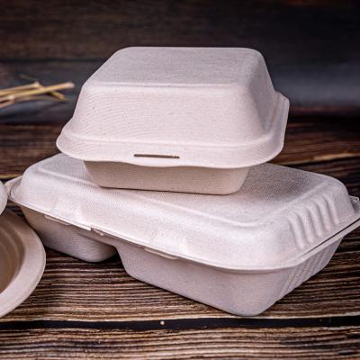 China Eco-Friendly Biodegradable Compostable Sugarcane Clamshell Hamburger Box 8x6x3 for Restaurants Takeout for sale