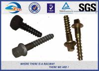 China Post Anchor Screw Anchor Fence Spike Track Spike Railway Fasteners SGS / ISO9001 for sale