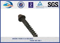 China 10.9 Grade 40Cr Steel Oxide Black Screw Spike Insert  Plastic Dowel Railway Fasteners for sale