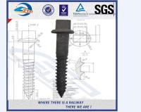 China ZhongYue Customized Railroad Rail Screw Spikes Square Head For Railway for sale