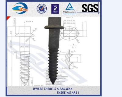 China ZhongYue Customized Railroad Rail Screw Spikes Square Head For Railway for sale