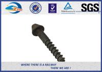 China ASTM Standard Hot Dip Galvanized Railway Sleeper Fixing Screws / Rail Road Spikes for sale