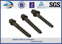 China ISO SGS inspected  Q235 35# 45# Railway Sleeper Spikes  Black Oxide Screws for sale