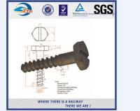 China ASTM Hot Dip Galvanized Railway Sleeper Screws Double End Screw Spike for sale