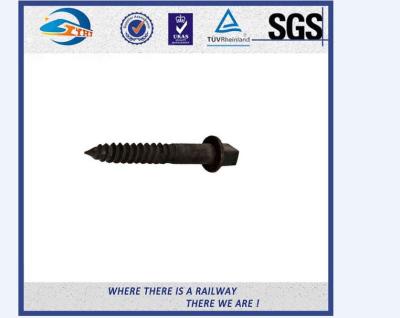 China High Tensile Screw Spike Railway Spike Railroad Screw 8.8 Grade for sale