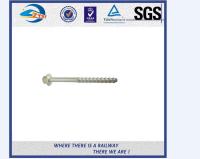 China High Tensile Screw Spike Railway Spike Railroad Screw 8.8 Grade for sale