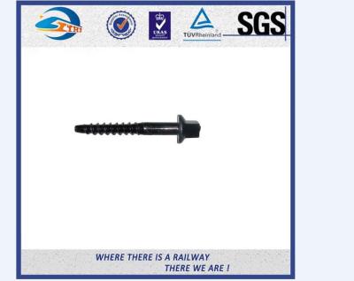 China SS303 SS304 SS316 Stainless Steel Railway Sleepers Screws Rail Fasteners for sale
