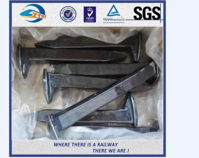 China Galvanized Railroad Track Spikes , Q235 Screw Spikes Railroad for sale