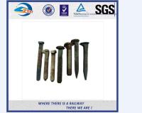 China ZhongYue customize galvanize track spikes for Thailand railway project for sale