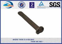 China Standard Plain Railroad Track Spike Dog Screw Spikes Carbon Steel 4.6 Grade for sale