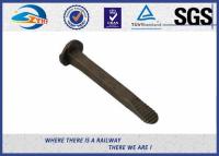 China Standard Plain Railroad Track Spike Dog Screw Spikes Carbon Steel 4.6 Grade for sale