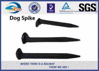China Track Carbon Steel 4.8 Grade Railway Dog Spikes  AREM Q235 for sale