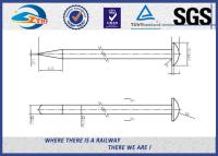 China Carbon Steel  Railroad Track Spikes Screw Back Tree Spikes 4.8 Grade for sale