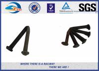 China Dacromet / Sherardizing Railway Sleeper Screw dog Track Spikes for sale