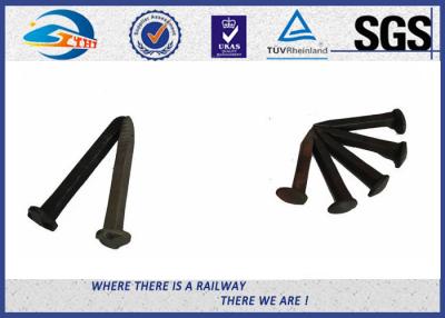 China Oiled Plain Stainless Steel Railroad Track Spikes Grade 4.6 5.6 8.8 for sale