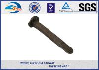 China Customized Track Spikes Screw Track Spikes Railway Fasteners for sale
