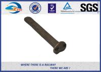 China Customized Track Spikes Screw Track Spikes Railway Fasteners for sale